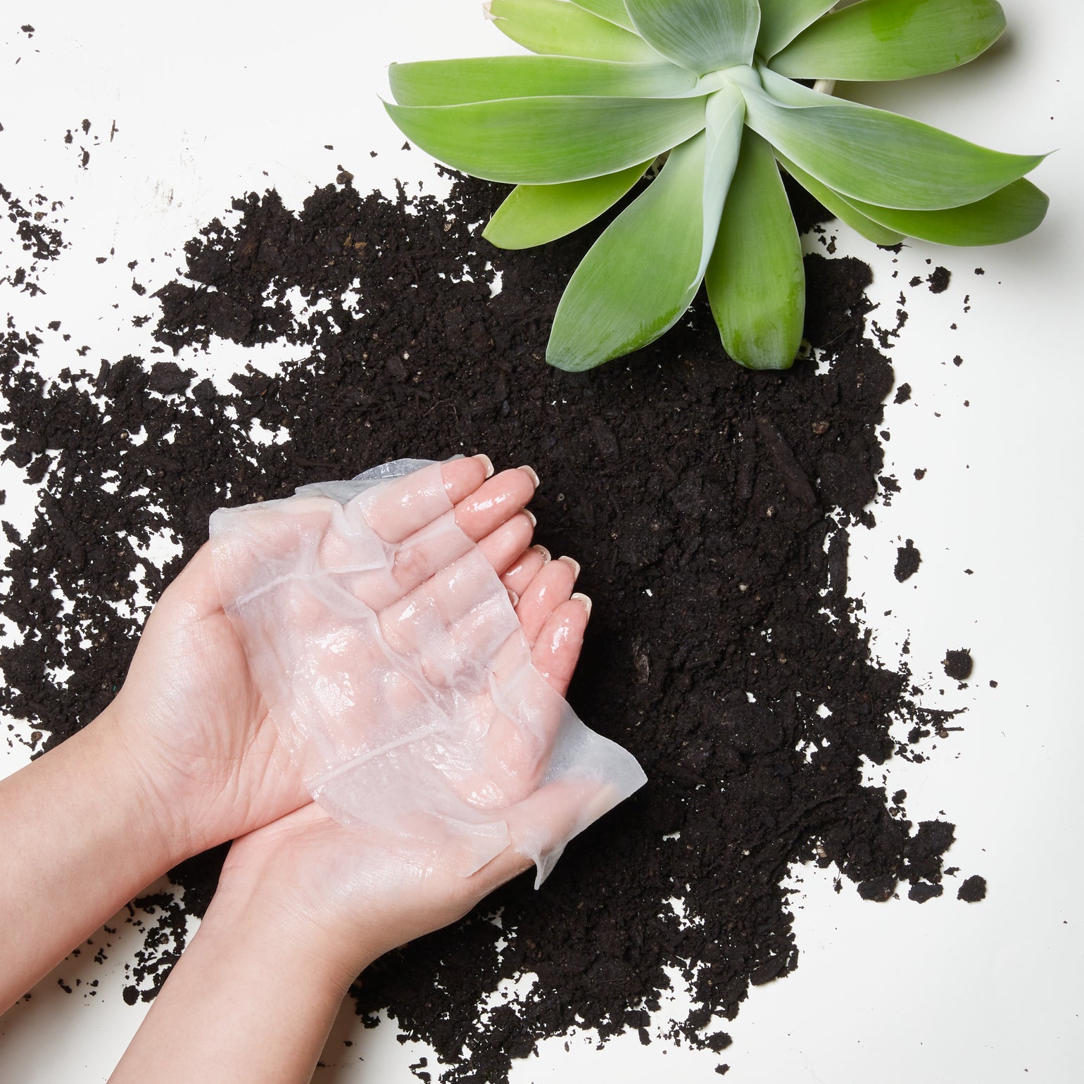 Our Philosophy | ESW Beauty